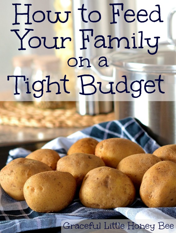 How To Feed Your Family On A Tight Budget Graceful Little Honey Bee how-to-feed-your-family-on-a-tight-budget-graceful-little-honey-bee