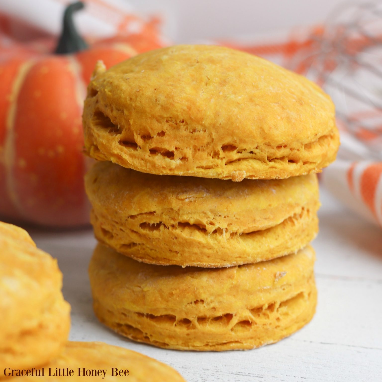 Homemade Pumpkin Biscuits - Graceful Little Honey Bee