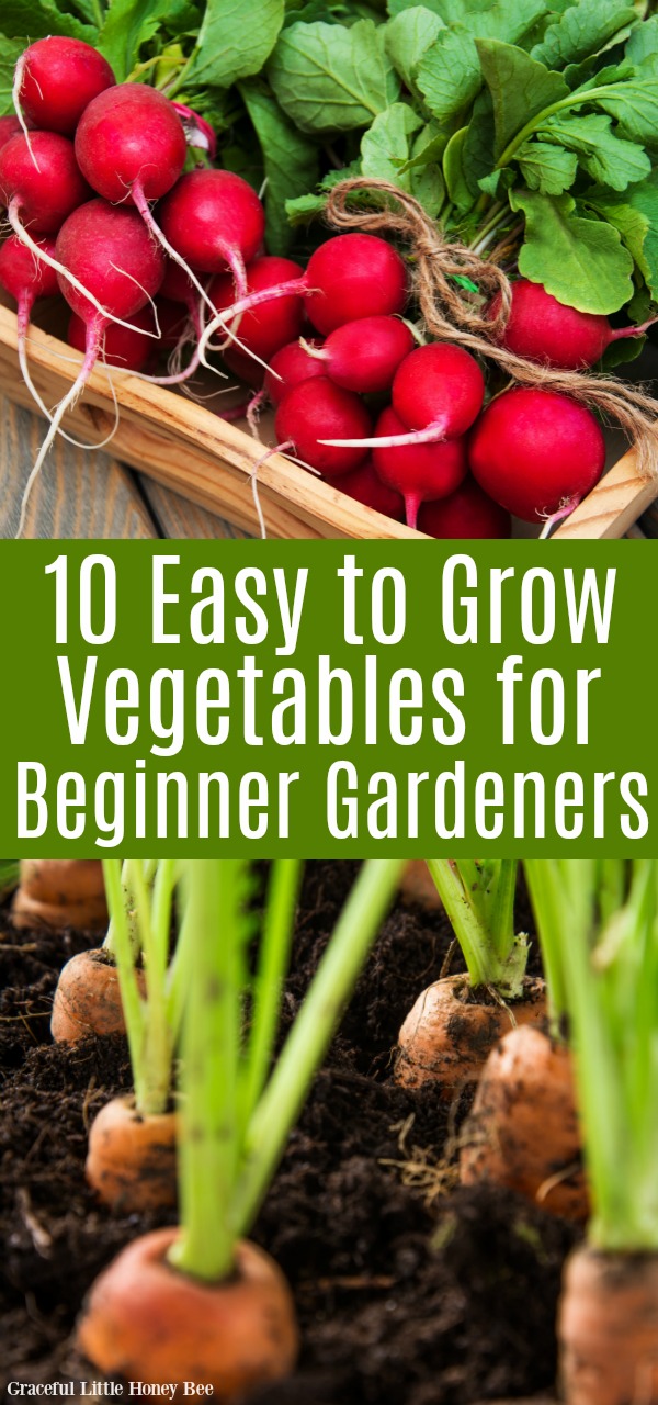 10 Easy to Grow Vegetables for Beginner Gardeners - Graceful Little ...