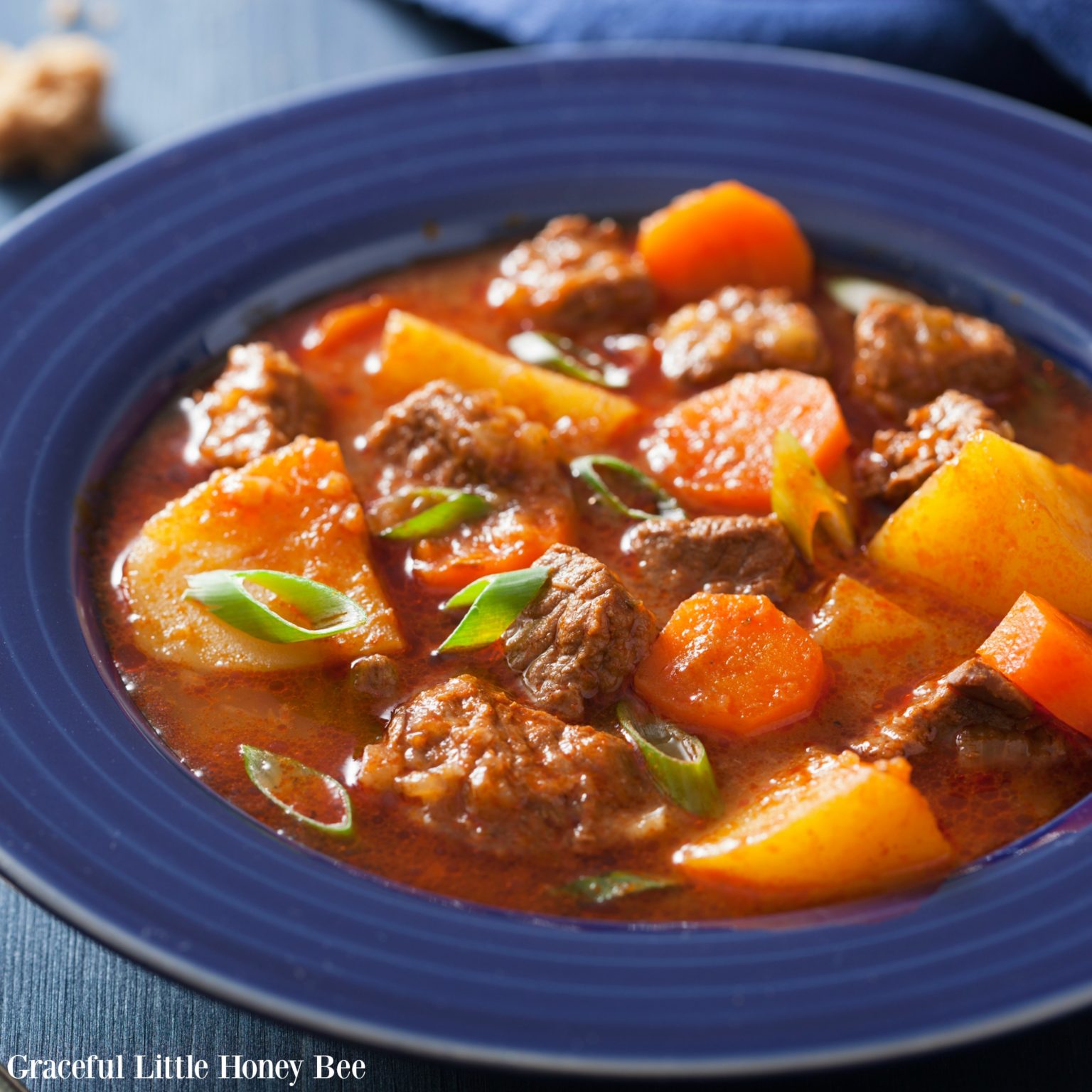 Instant Pot Beef Stew - Graceful Little Honey Bee