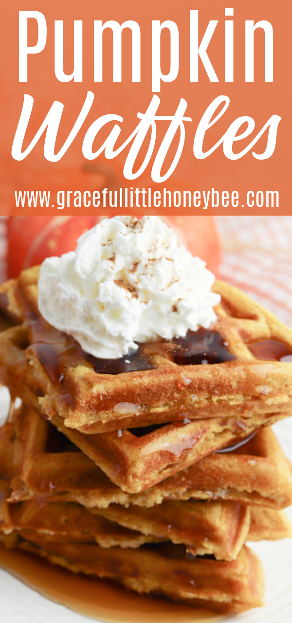 Cinnamon Pumpkin Waffles - Graceful Little Honey Bee
