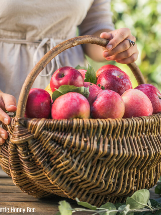 How to Be an Old-Fashioned Frugal Homemaker - Graceful Little Honey Bee