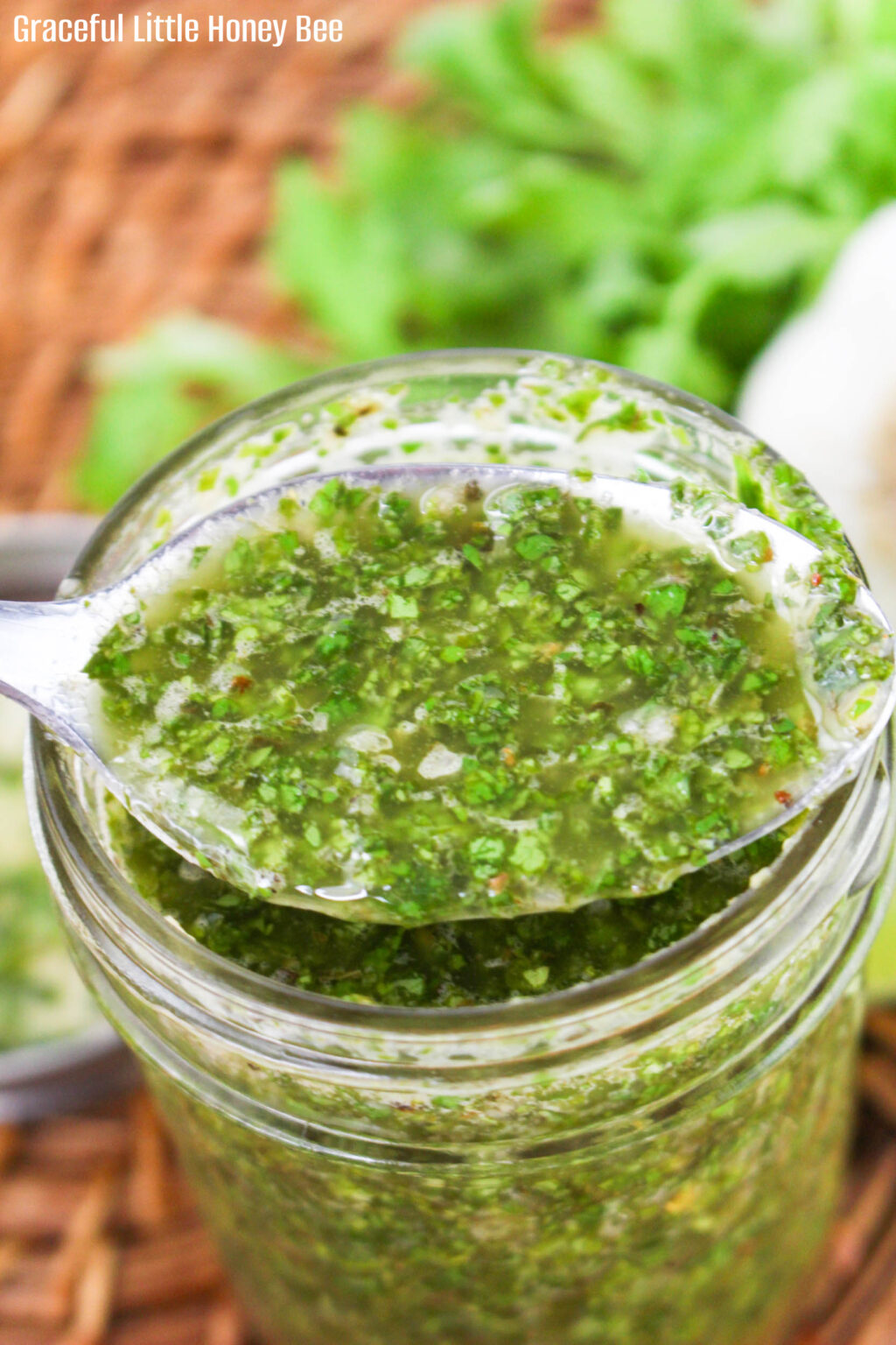 Cilantro Chimichurri Sauce - Graceful Little Honey Bee